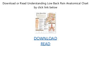 Understanding Low Back Pain Anatomical Chart TELECHARGER