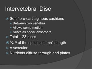 Understanding lumbar disc herniation | PPT