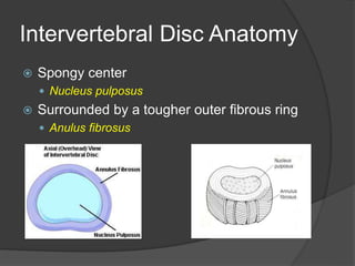 Understanding lumbar disc herniation | PPT