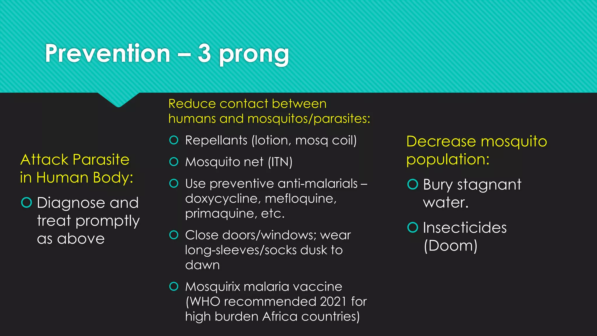 Understanding Malaria & Typhoid Fever | PDF