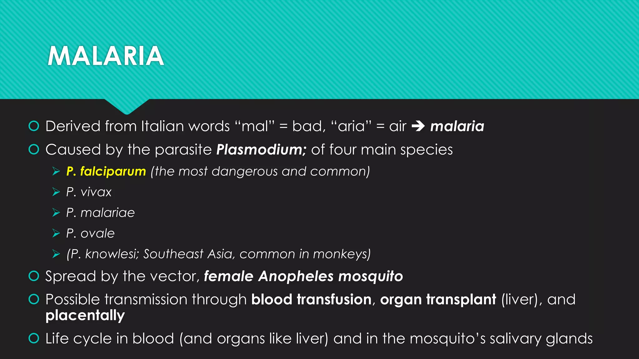 Understanding Malaria & Typhoid Fever | PDF