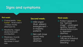 Understanding Malaria & Typhoid Fever | PDF