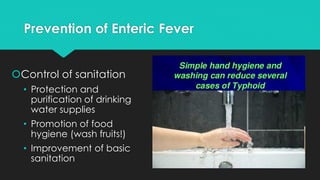 Understanding Malaria & Typhoid Fever | PDF