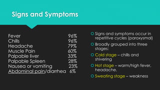 Understanding Malaria & Typhoid Fever | PDF