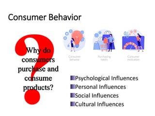 Understanding marketing processes and consumer behavior | PDF