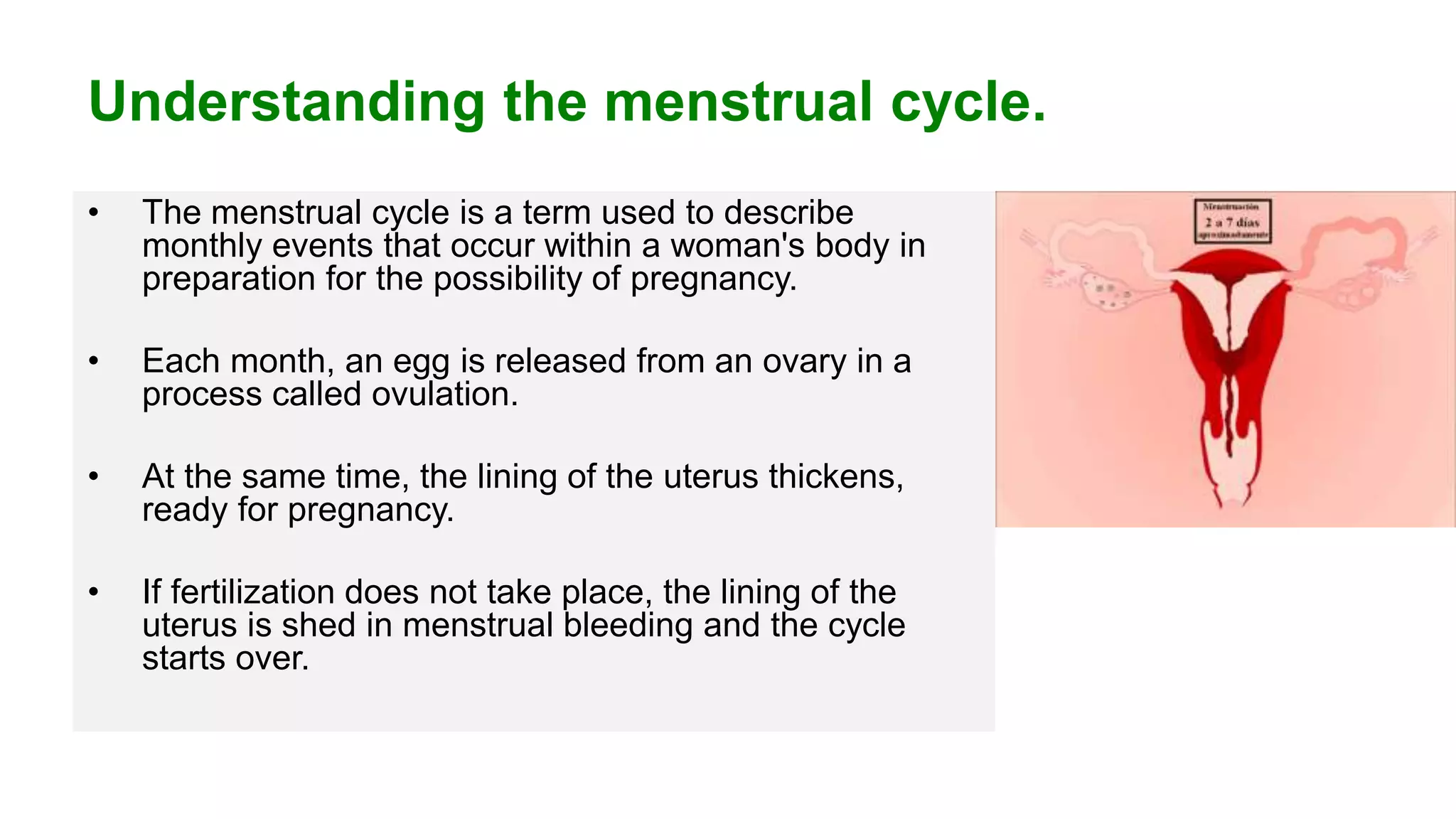 Understanding Menstrual Cycle | PPT