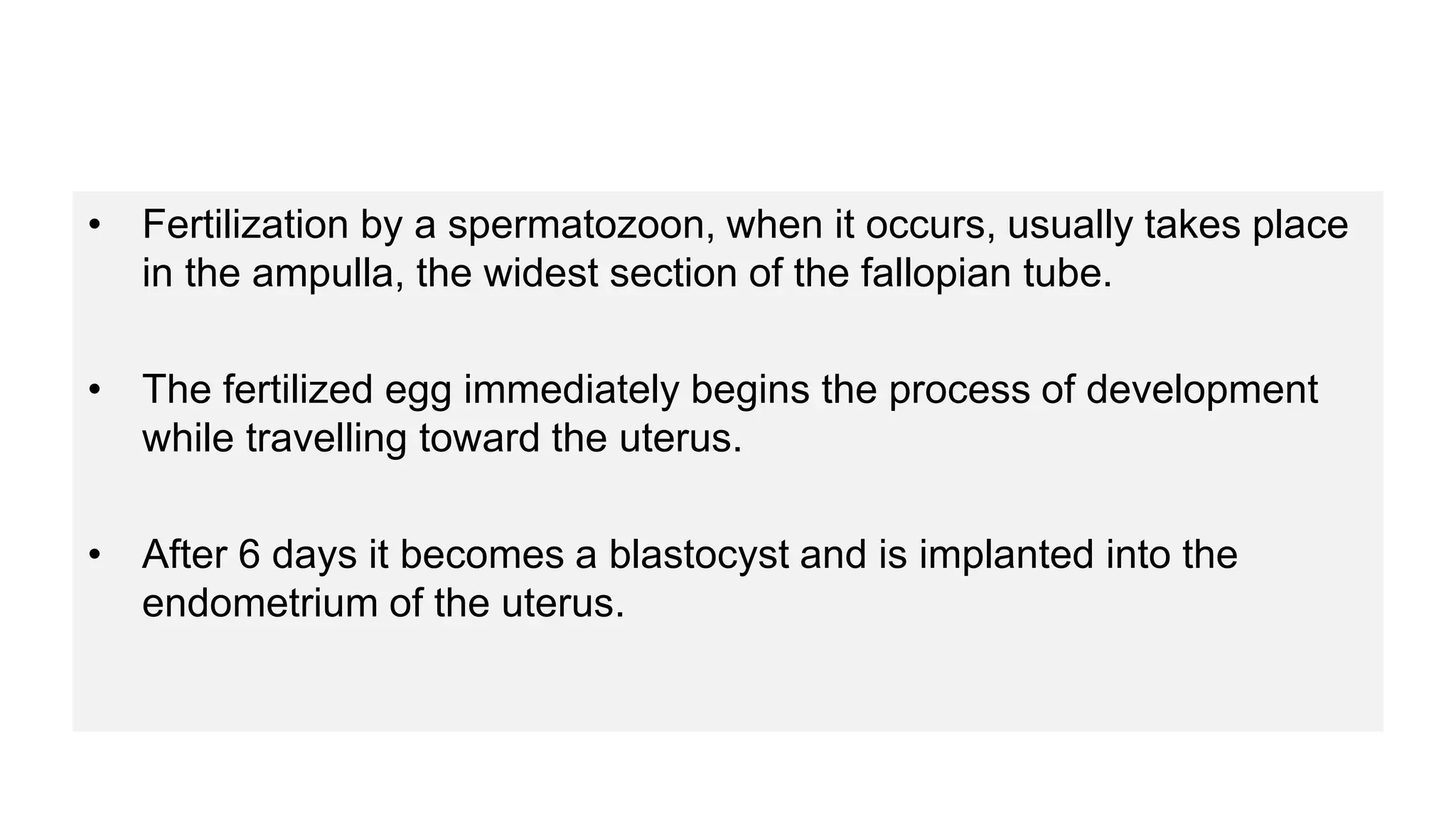 Understanding Menstrual Cycle | PPT