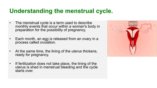 Understanding Menstrual Cycle | PPT