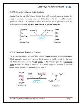 Understanding Metabolic Pathways, Shandele Ginnethon-1.pdf