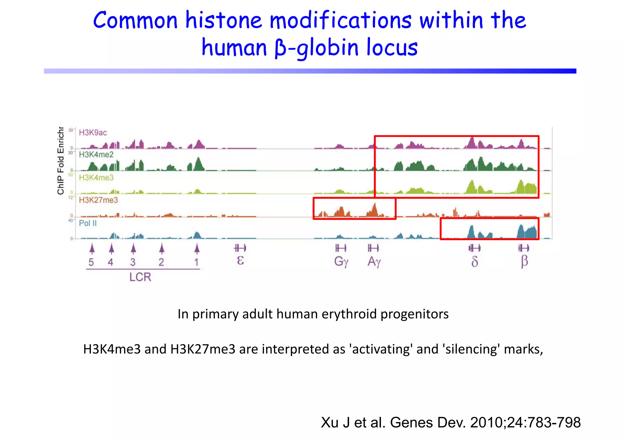 Understanding molecular mechanisms leading to reactivation derepression ...