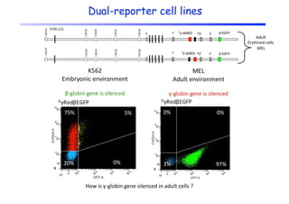 Understanding molecular mechanisms leading to reactivation derepression ...