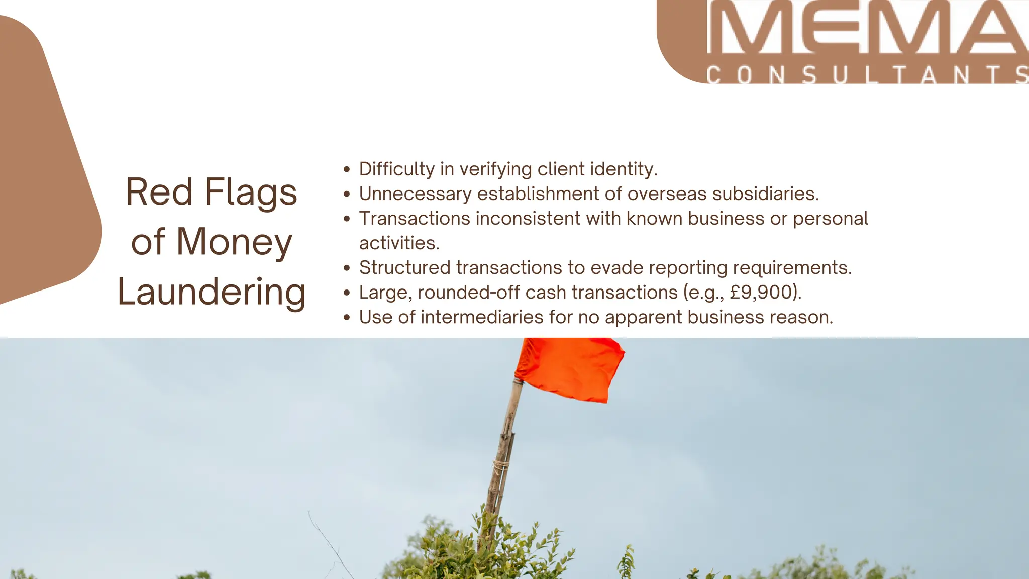 Understanding Money Laundering Key Stages and Red Flags.pdf