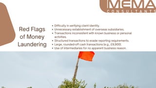 Understanding Money Laundering Key Stages and Red Flags.pdf