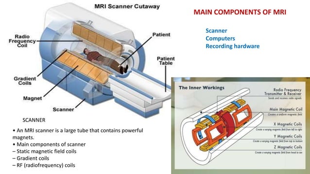 Understanding mri in neonate | PPTX