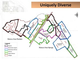 Understanding mukuru a planning perspective | PPTX