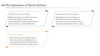 Understanding Muscle Release Techniques_ Comprehensive Guide for ...