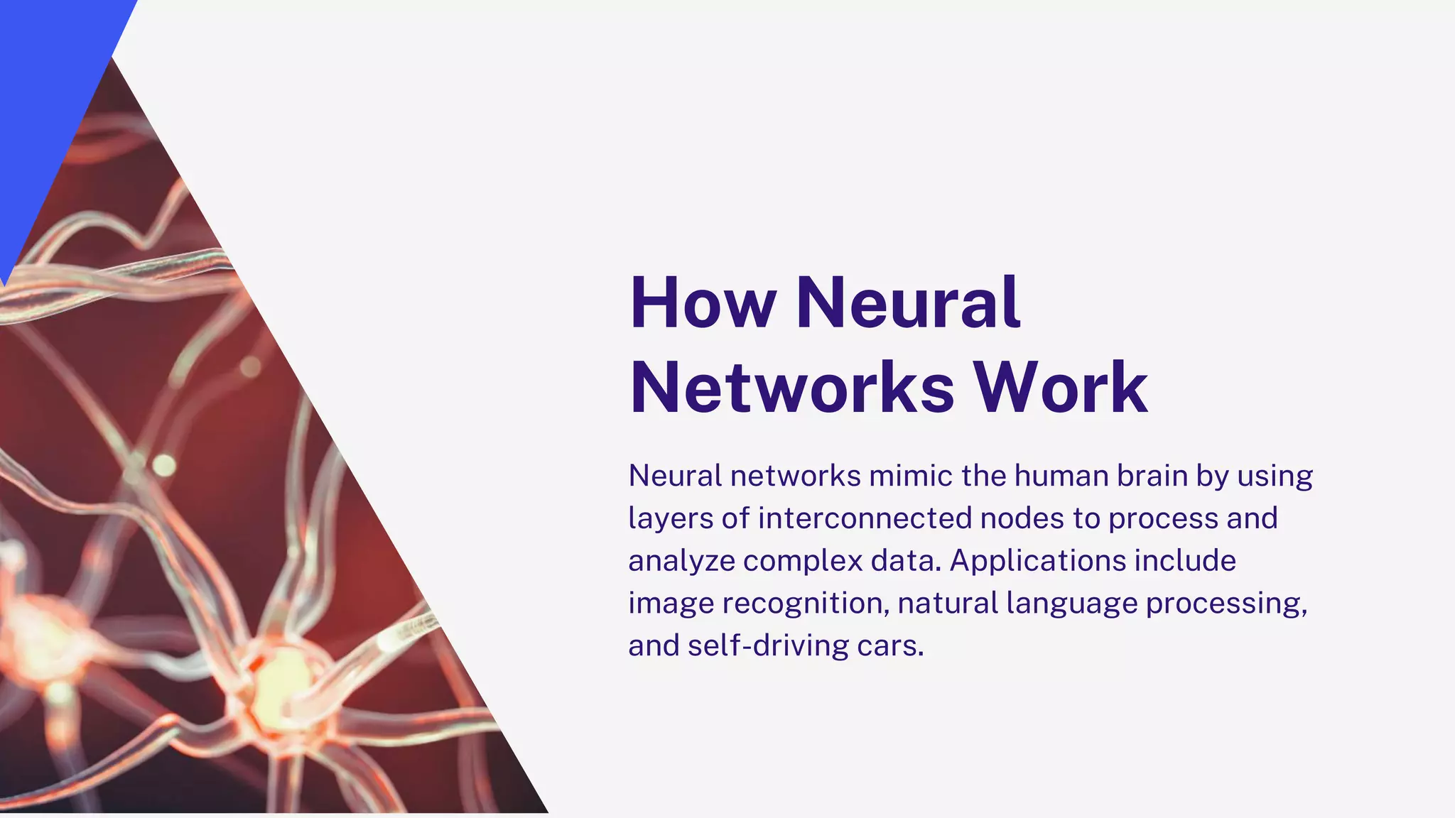 Understanding Neural Networks Working and Applications.pptx