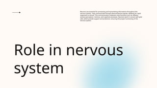 Understanding NeuronsNeurons are the building blocks of the nervous ...