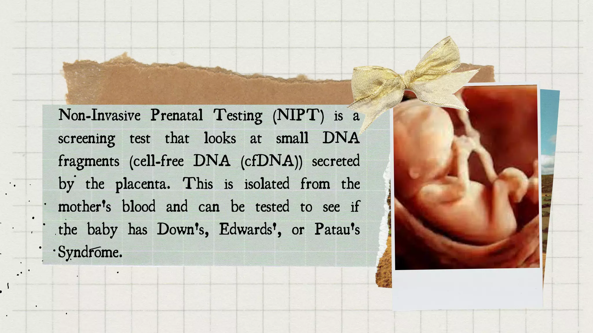 Understanding Non-Invasive Prenatal Testing (NIPT) Principles, Benefits ...