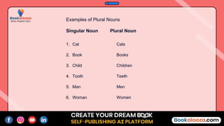 Understanding Noun Numbers | PPTX