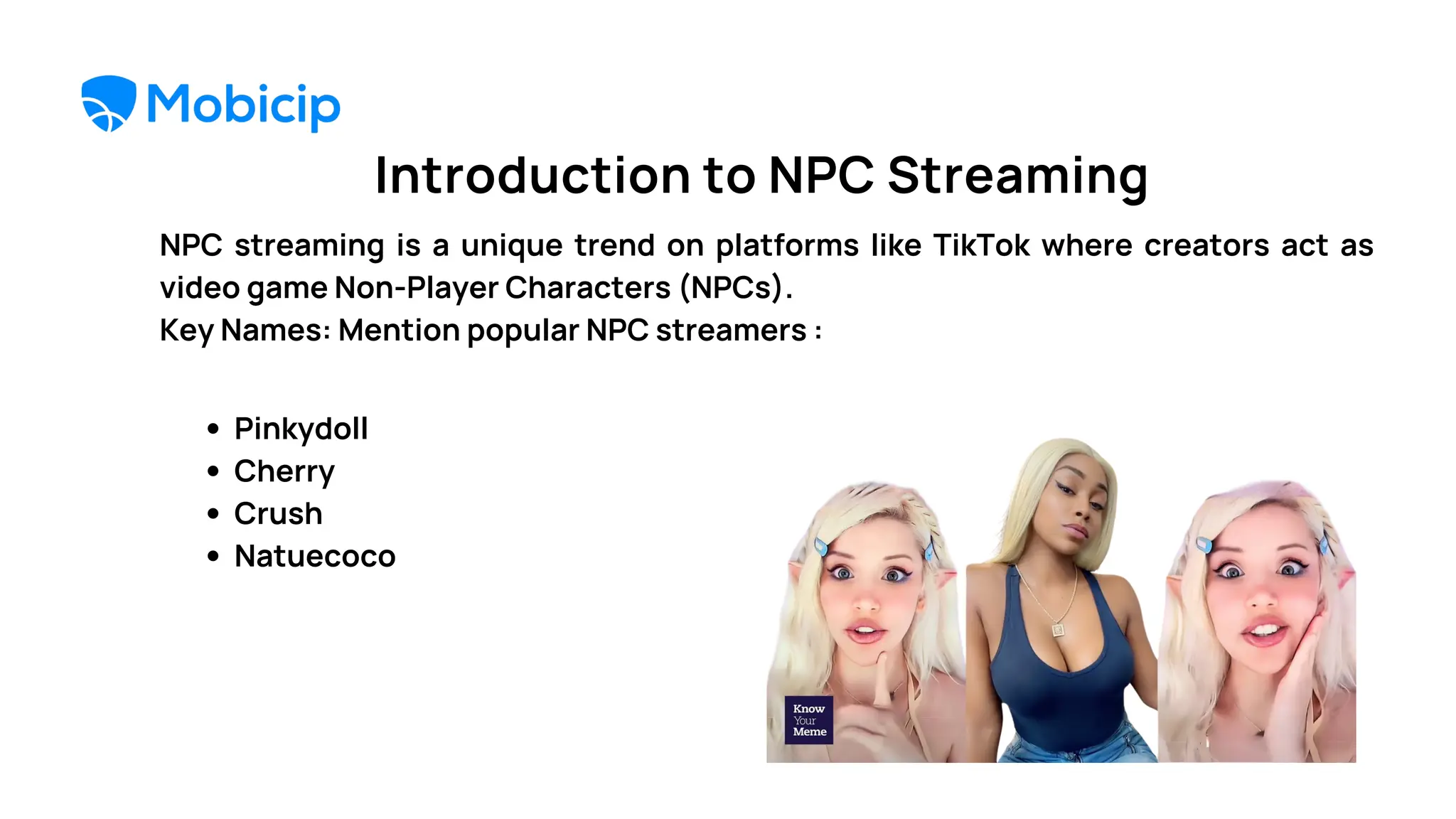 Is Your Kid Watching "NPCs" on TikTok? Here's What You Need to Know | PDF