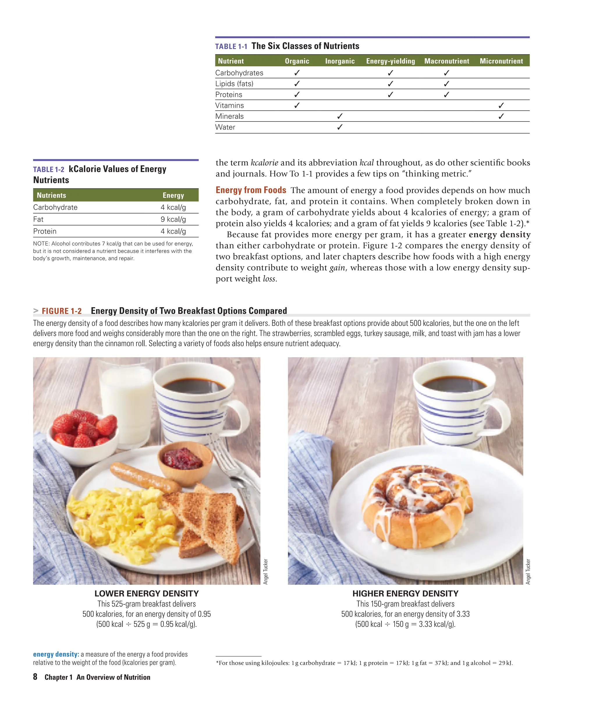 Understanding Nutrition, 16th Edition pdf | PDF