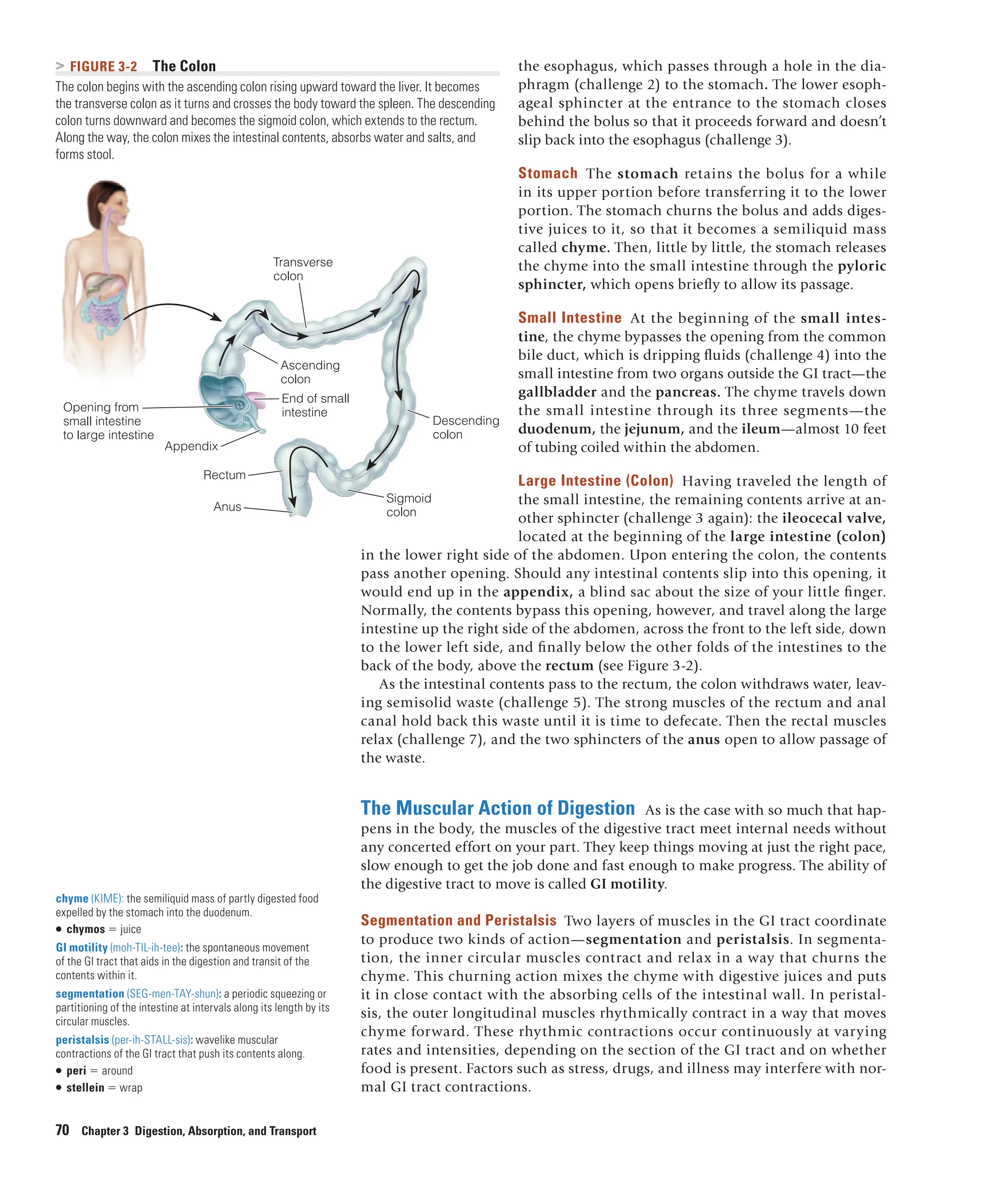 Understanding Nutrition, 16th Edition pdf | PDF
