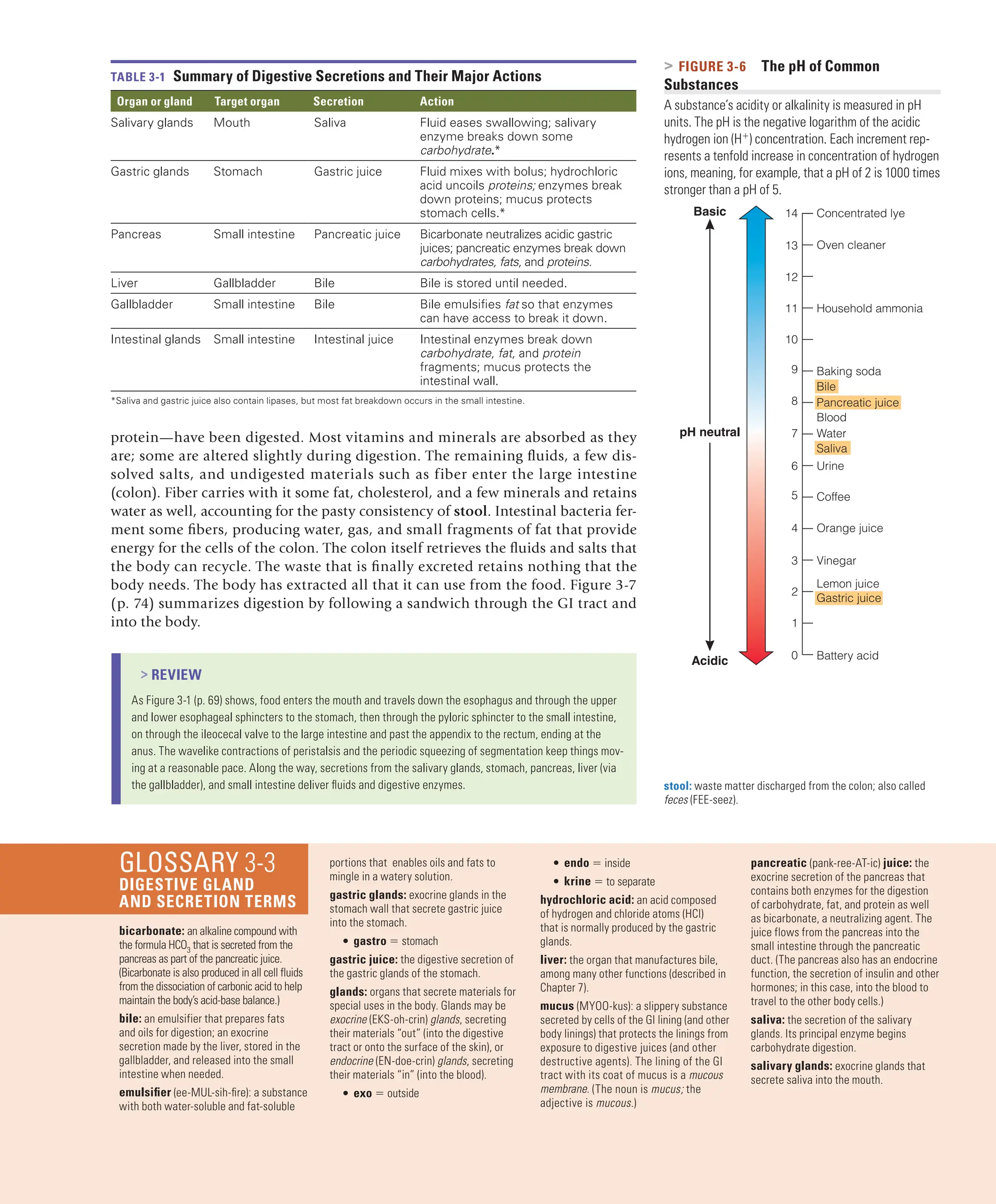 Understanding Nutrition, 16th Edition pdf | PDF