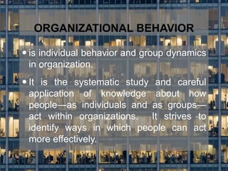 Understanding Organizational Behavior | PPTX