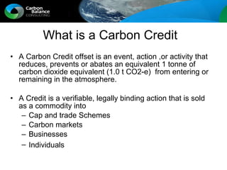 Understanding offsets overview 2009 | PPT | Environmental Services ...