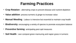Understanding Organic Farming Principles and Practices final[1].pptx