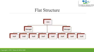 Understanding Organisational Structure | PPTX