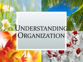 Understanding organisation and comp | PPTX