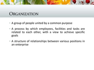 Understanding organisation and comp | PPTX