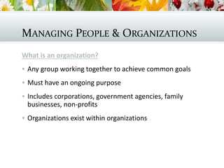 Understanding organisation and comp | PPTX