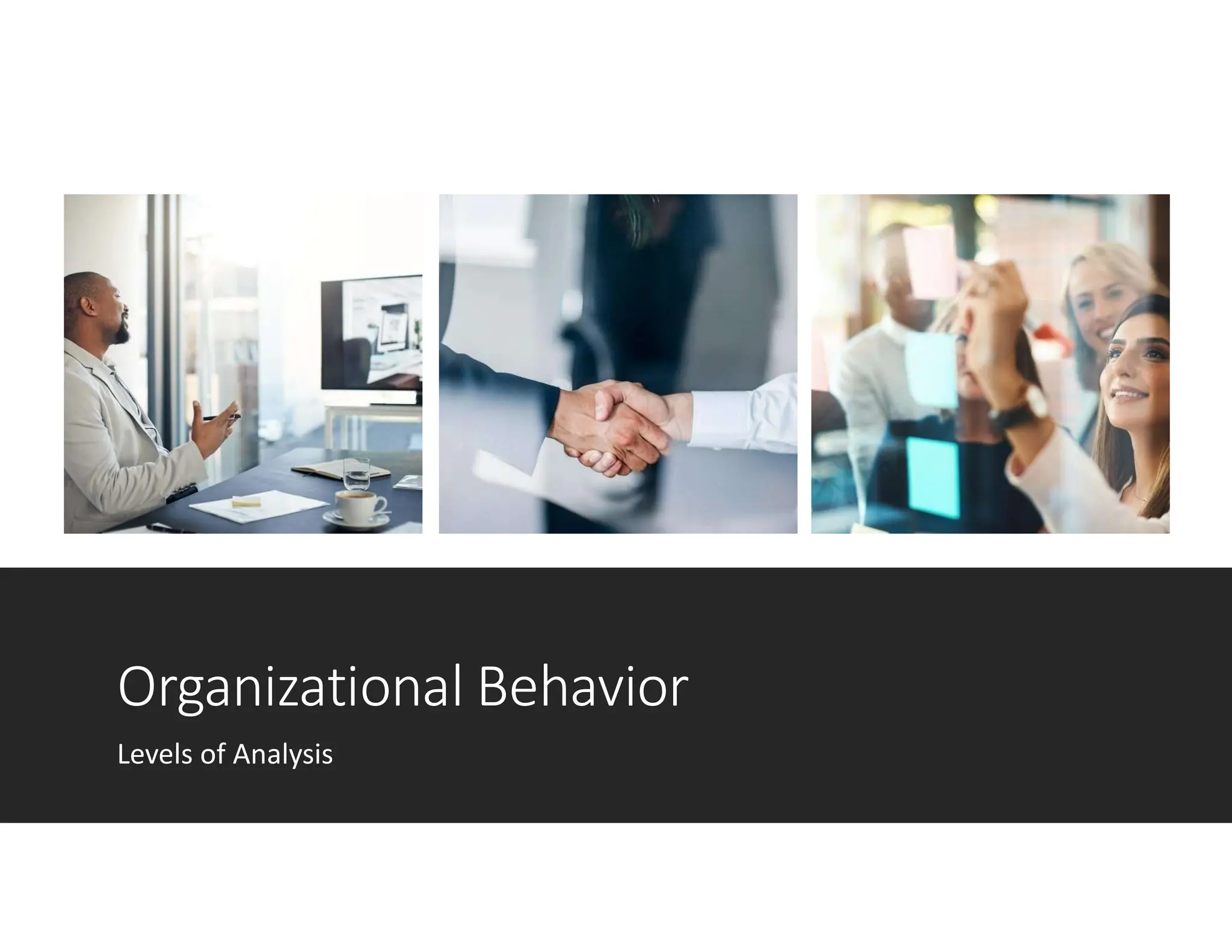 Understanding Organizational Behavior for Managing People Effectively.pdf