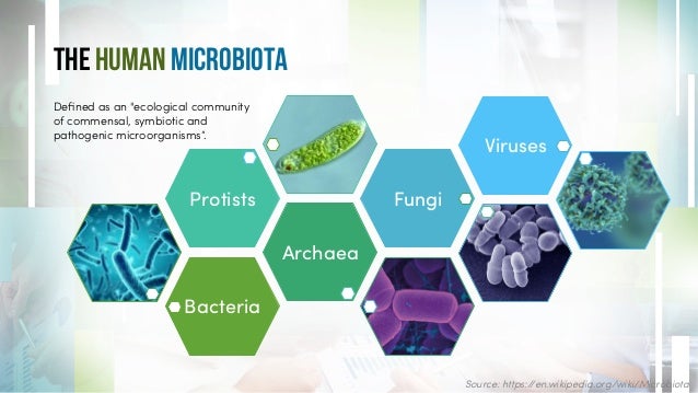 Understanding Our Microbiome: The Natural Symbiosis