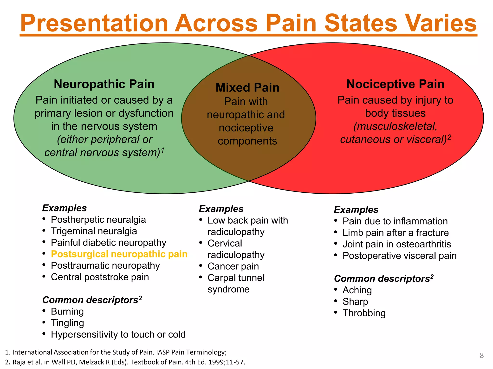 Understanding pain short | PPTX