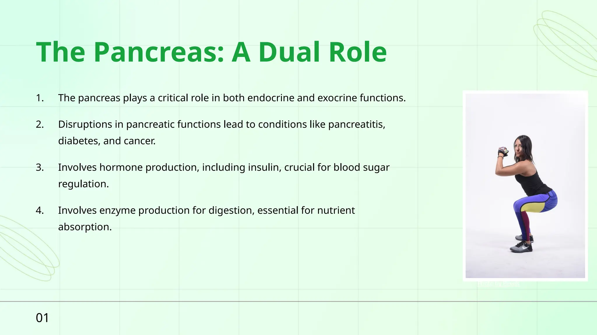 UnderstandingPancreaticPathophysiologye8417d7b4920777b.pptx