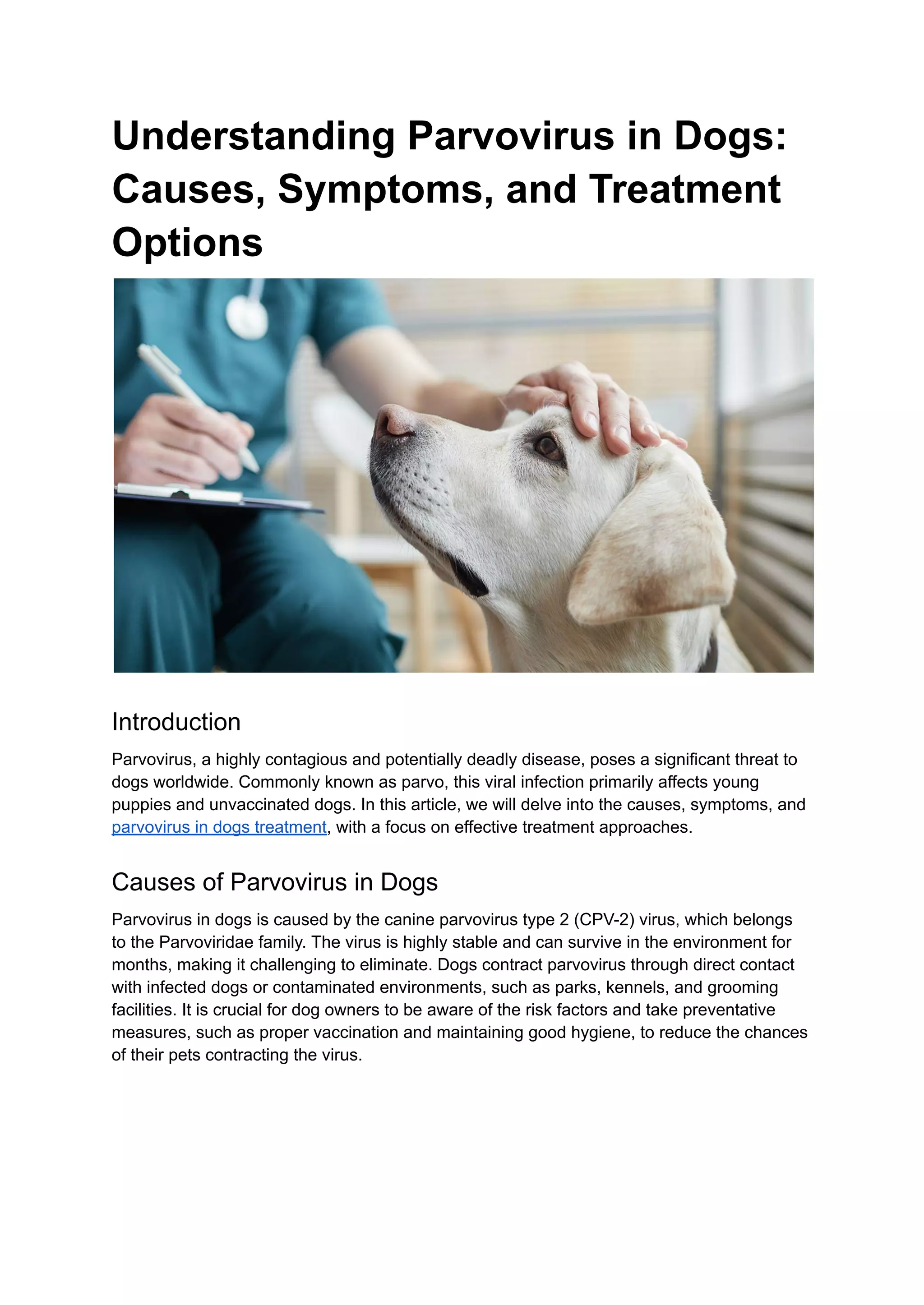 Understanding Parvovirus in Dogs_ Causes, Symptoms, and Treatment Options.pdf