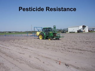 Understanding_Pesticide_Resistance.pptx. | PPTX
