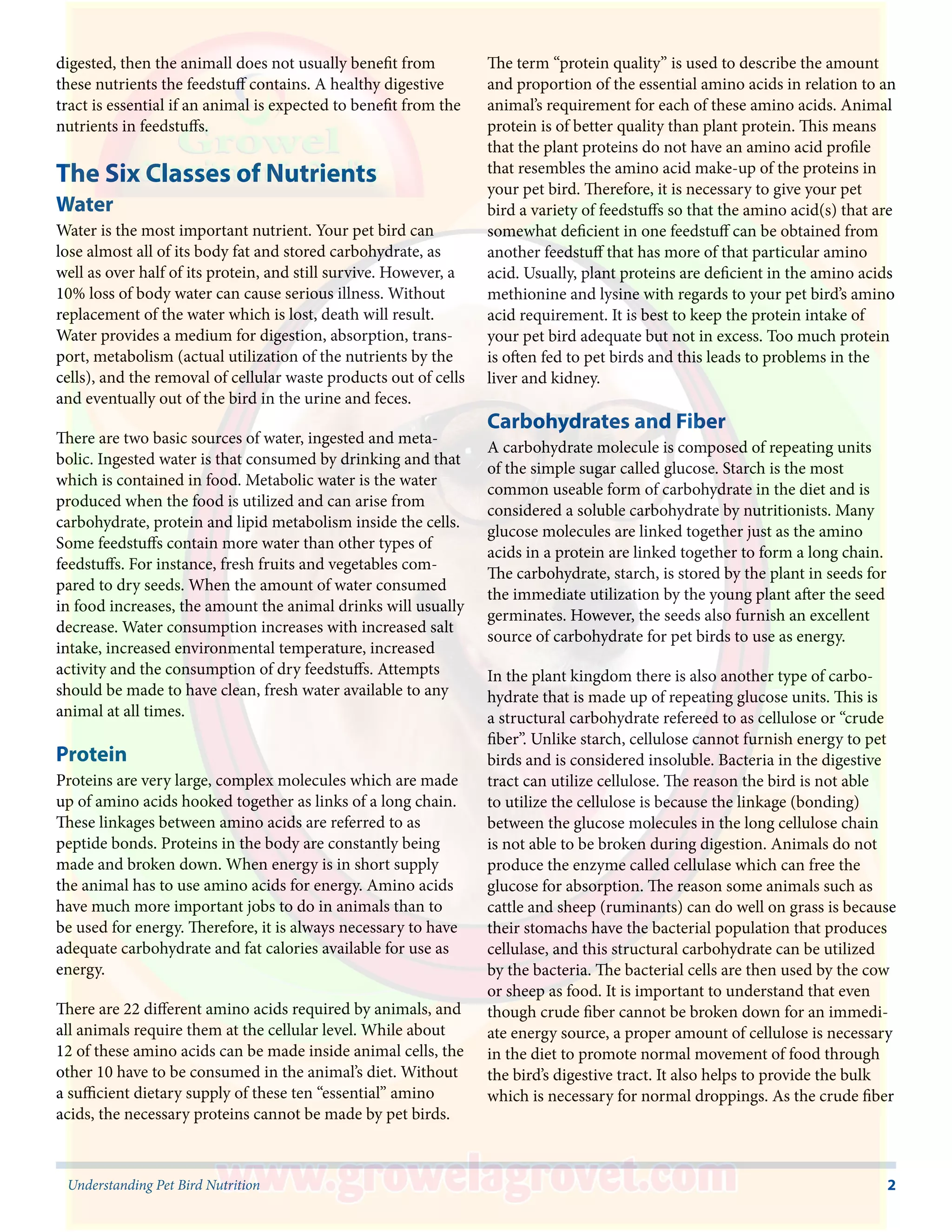 Understanding Pet Bird Nutrition | PDF