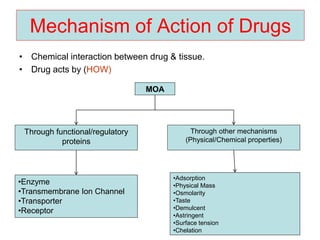 Understanding Pharmacodynamics | PPT