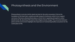 Understanding Photosynthesis and Its Role in Sustaining Life on Earth | PDF