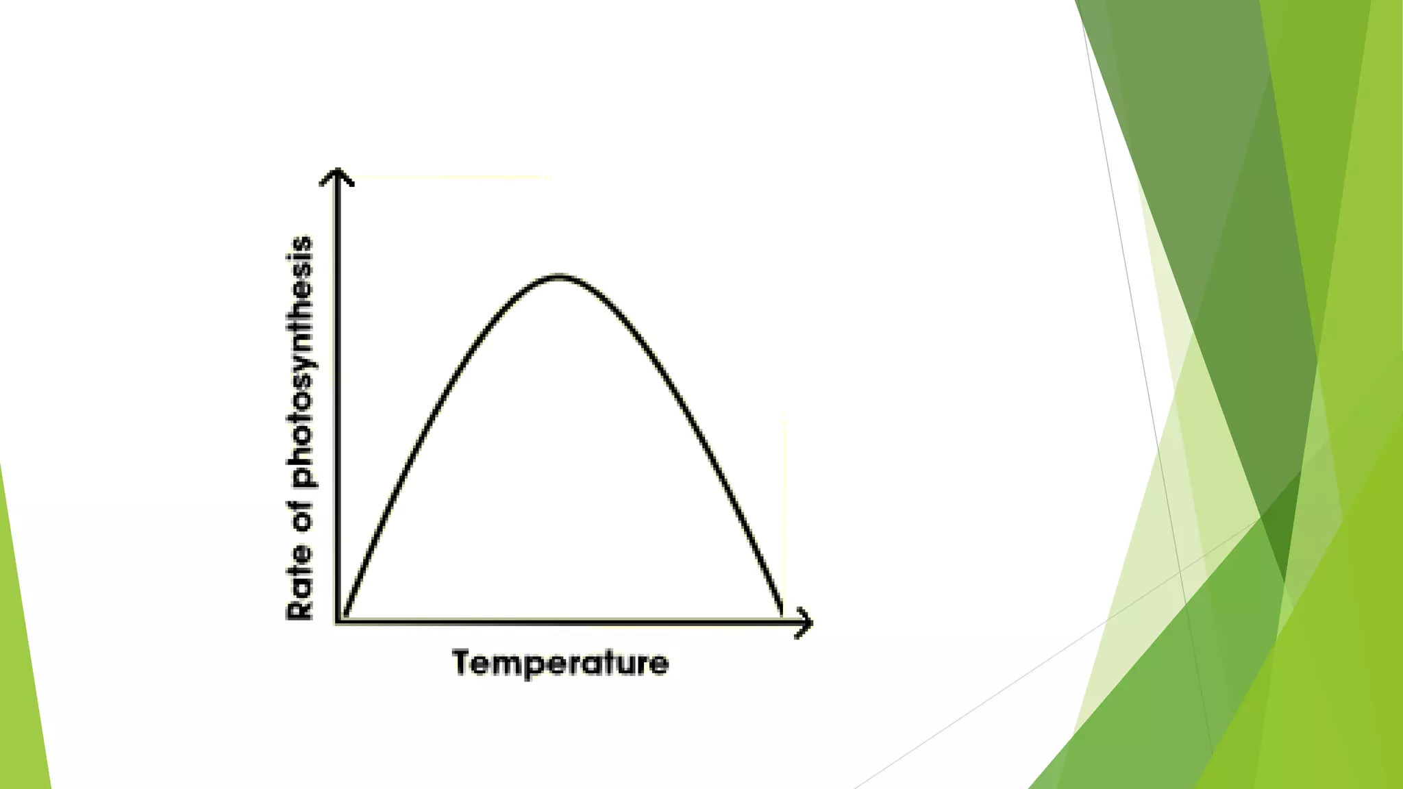 Understanding photosynthesis graphs | PPTX