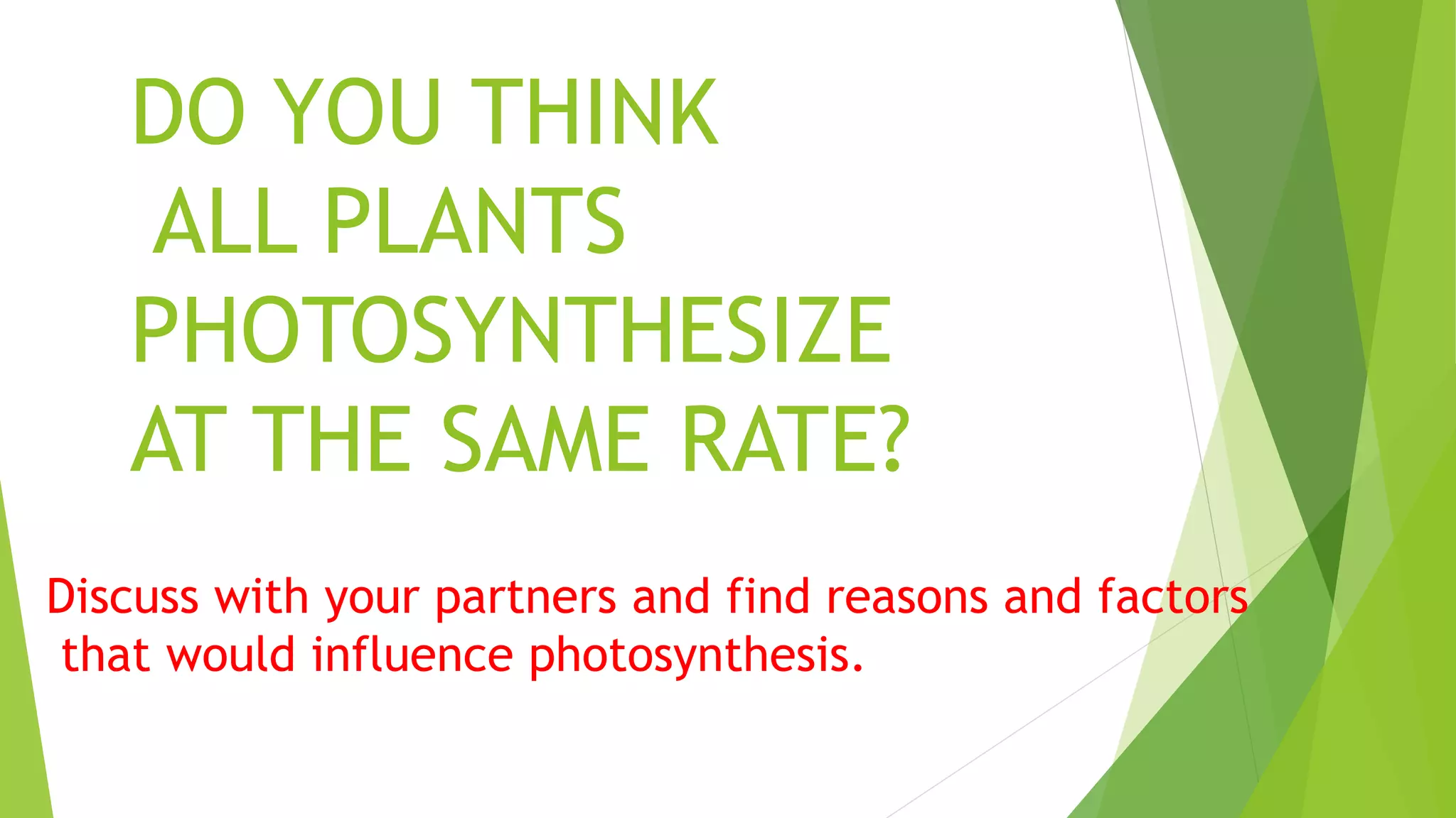 Understanding photosynthesis graphs | PPTX