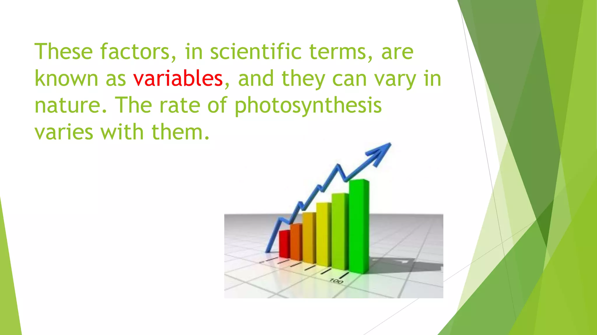 Understanding photosynthesis graphs | PPTX