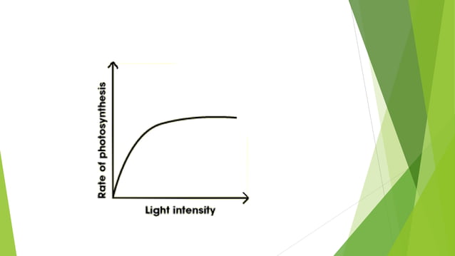 Understanding photosynthesis graphs | PPT