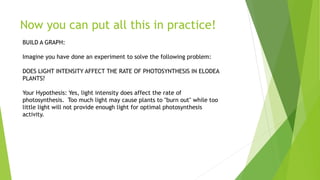 Understanding photosynthesis graphs | PPTX