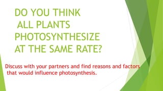 Understanding photosynthesis graphs | PPTX